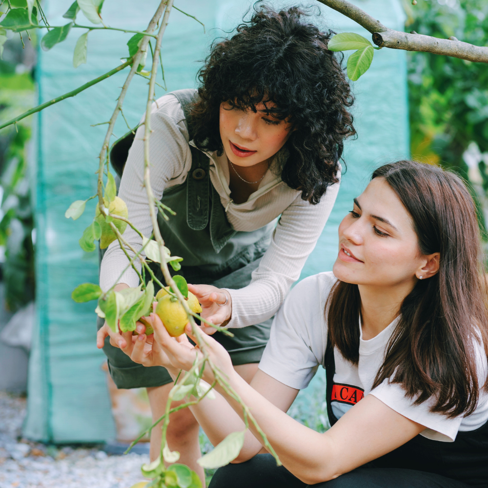 Prevent Lyme Disease – BV Medical