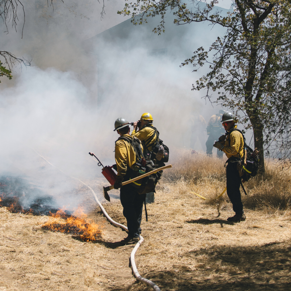 Wildfire Smoke – BV Medical